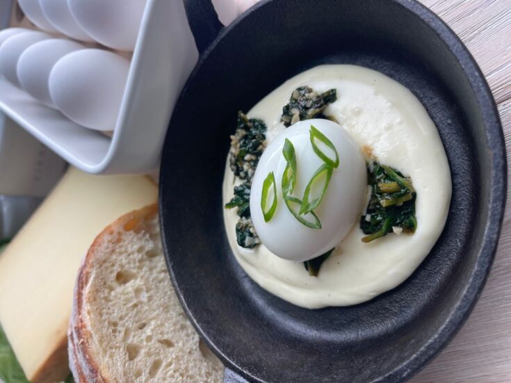 foodmamma Archives - Food Mamma